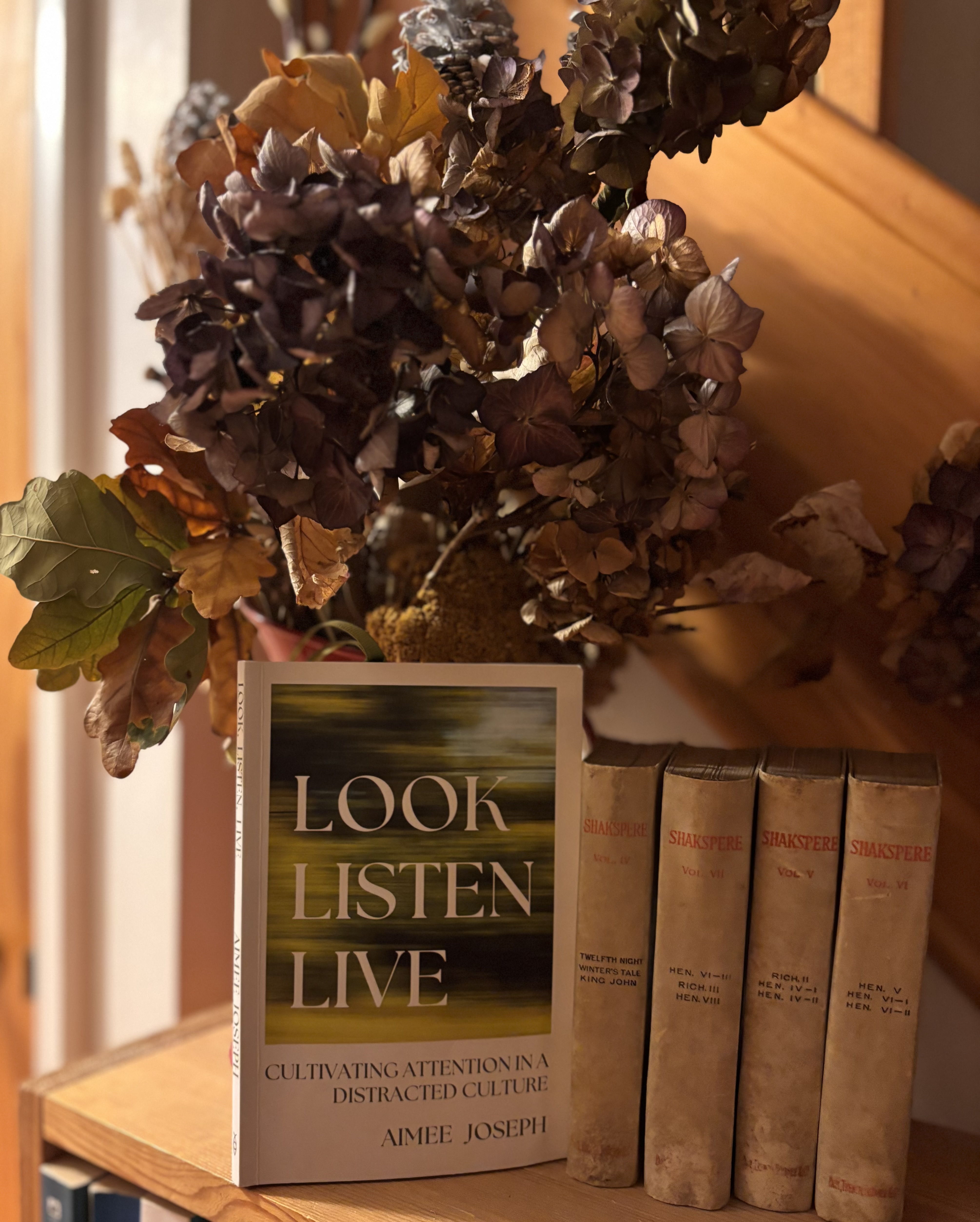 Look Listen Live – Roques Reviews
